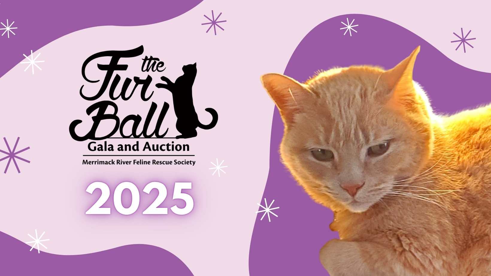 The 2025 Fur Ball Gala and Auction - MRFRS | The Merrimack River Feline ...